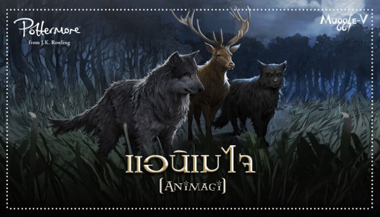 แอนิเมไจ (Animagi) | Muggle-V