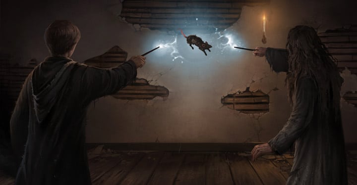 แอนิเมไจ (Animagi) | Muggle-V