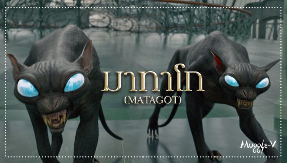 มาทาโก (Matagot) | Muggle-V