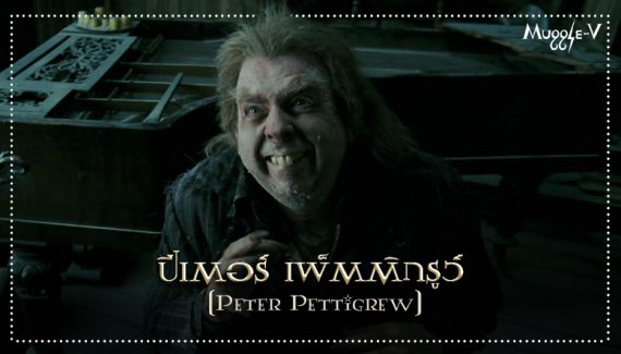 ปีเตอร์ เพ็ตติกรูว์ (Peter Pettigrew) | Muggle-V