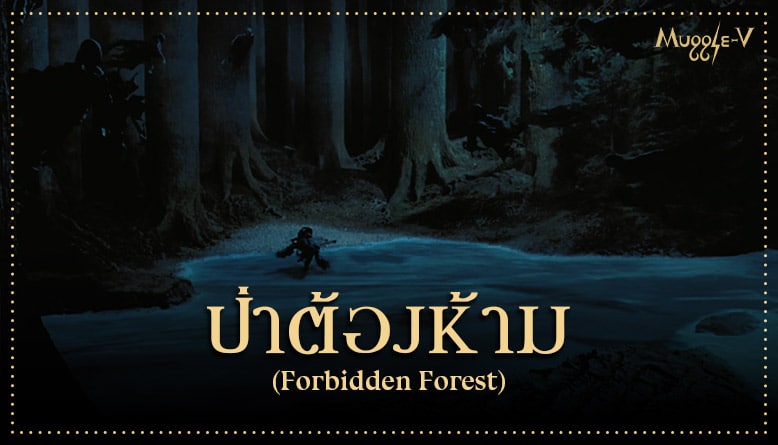 ป่าต้องห้าม (Forbidden Forest) | Muggle-V